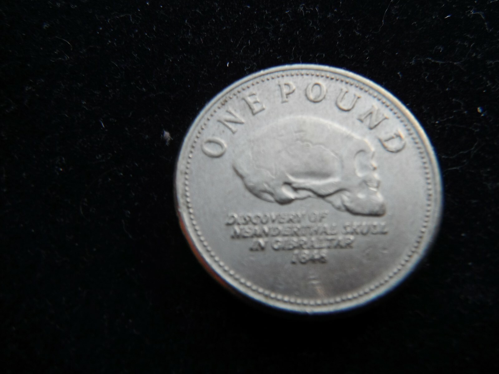 GIBRALTAR ONE POUND SKULL COIN 2012 VERY RARE-77- | eBay