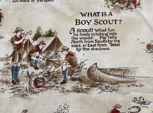7850 Boy Scout Cotton Quilt Fabric What is Boy Scout? Kaufman Scenic ...