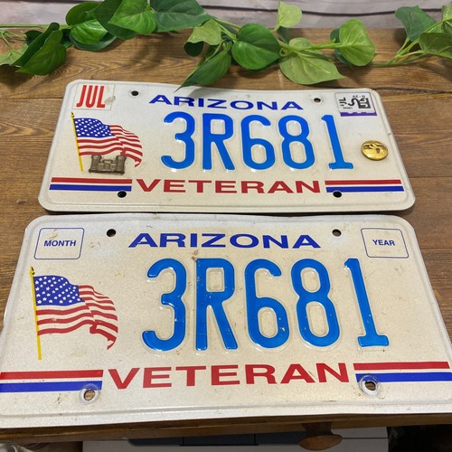 Pair of Matching Arizona Veteran Car Truck License Plates 3R681 Red ...