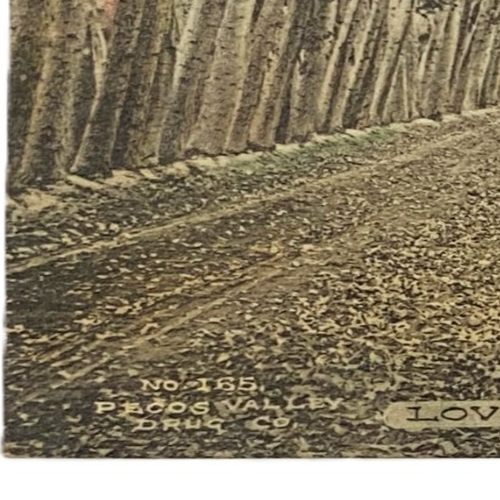 Antique Vintage Postcard Roswell, New Mexico Lovers' Lane 1913 Hand ...