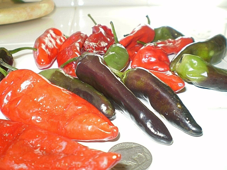 more #2 ASSORTED CHILI PEPPER SEEDS 25 varieties you choose hot mild ...