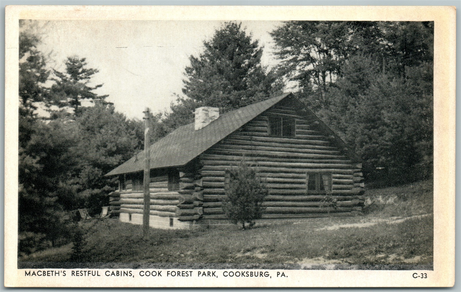 COOKSBURG PA COOK FOREST PARK MACBETH'S RESTFUL CABINS ANTIQUE POSTCARD ...