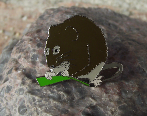 European Water Vole Semi Aquatic Mouse Common Wild Mice Rodent Pin ...