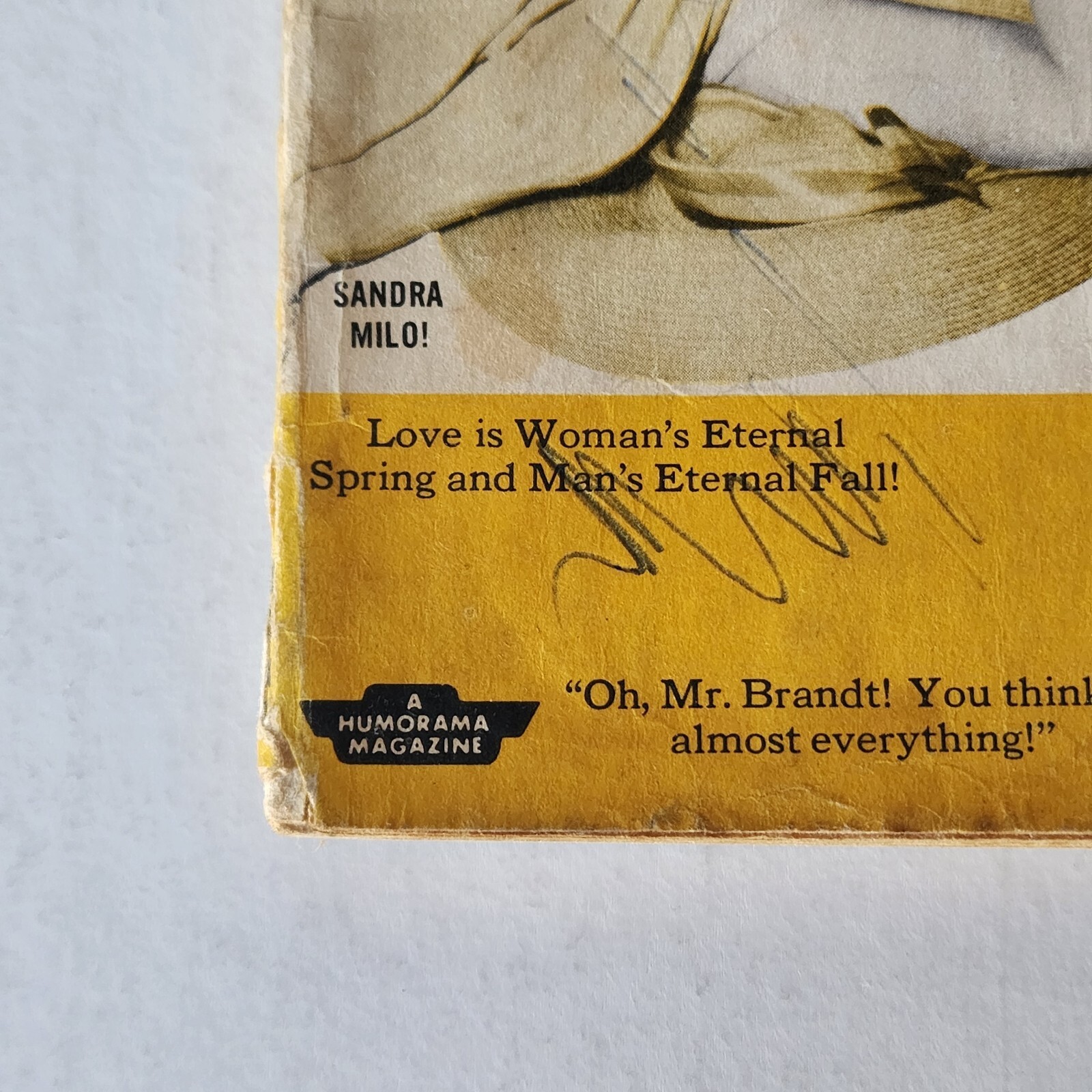 Gaze! Humorama Magazine Cartoons Feb 1958 Vol 2 No 17 Eyeful of ...