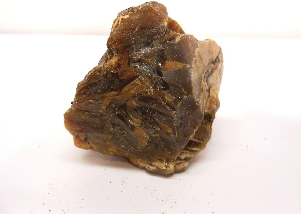 Rockhound's 1st Choice Black Amber Petrified fossilized Sumatra Tree ...