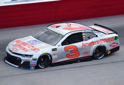 Austin Dillon NASCAR 2018 Darlington 13x19 Poster Gloss Photo Print | eBay