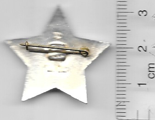 USSR Soviet Russian Authentic Octobrist Lenin Vintage Star Badge Pin | eBay