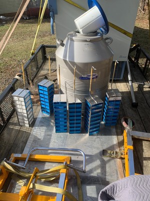 Cryogenics - Cryogenic Storage