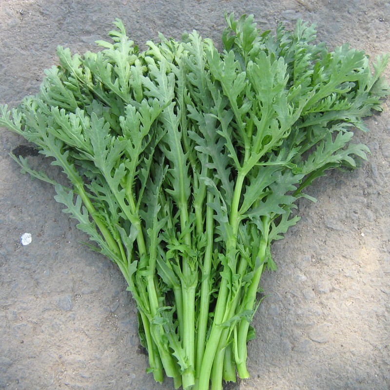 10g Crown Daisy Seeds, Chrysanthemum Glebionis Coronaria Seed, Tong How ...