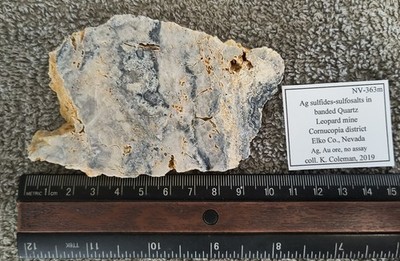 Silver sulfides-sulfosalts, Leopard mine, Cornucopia dist., Elko Co ...