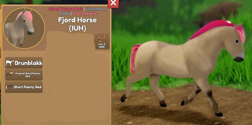 [] IUH Pearly Red Fjord[] Roblox WHI [] | eBay