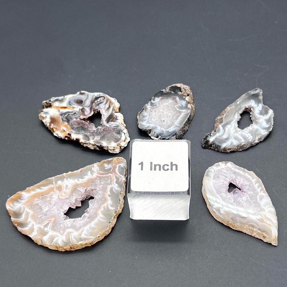 Oco Geode Flat Polished Slice | eBay