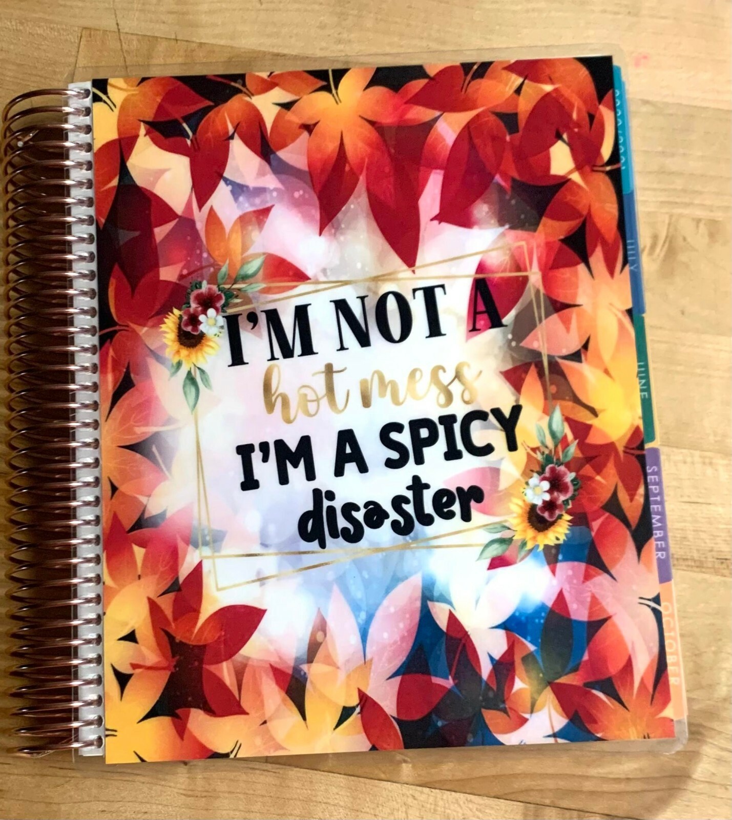 "Not a Hot Mess - A Spicy Disaster" Cover Set 4 use w/ Erin Condren ...