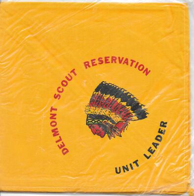 Delmont Reservation Valley Forge Council Unit Leader Yellow Neckerchief ...