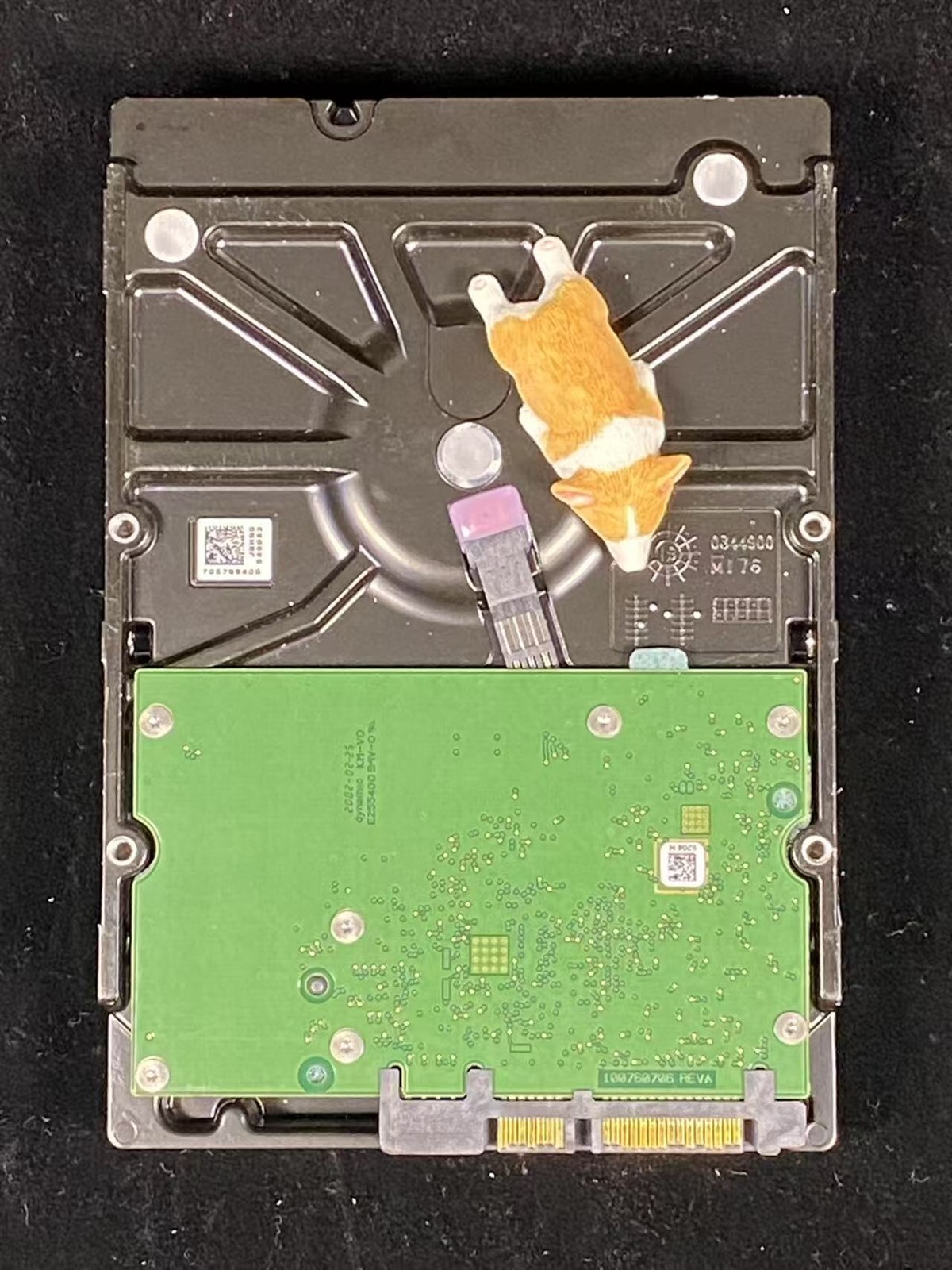 ST6000VN0033 SEAGATE IRONWOLF 6TB 7.2K 6G SATA 3.5" LFF NAS HDD | eBay