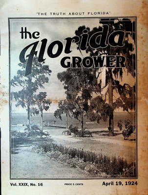 Florida Grower Magazine April 19 1924 Agriculture Citrus | eBay