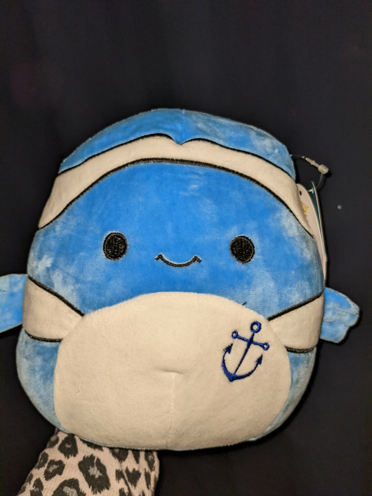 Ricky the Blue Clownfish squishmallow Anchor 8” NWT 734689520701| eBay