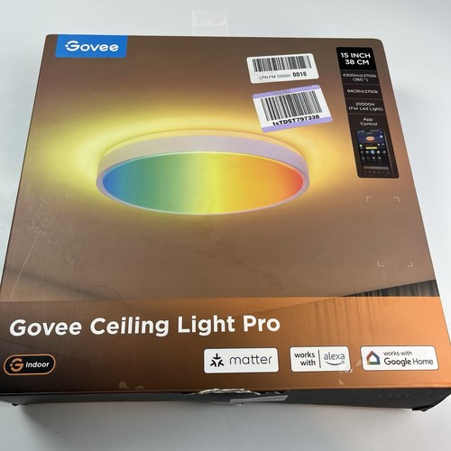 Govee Ceiling Light Pro 15inch 38cm | eBay