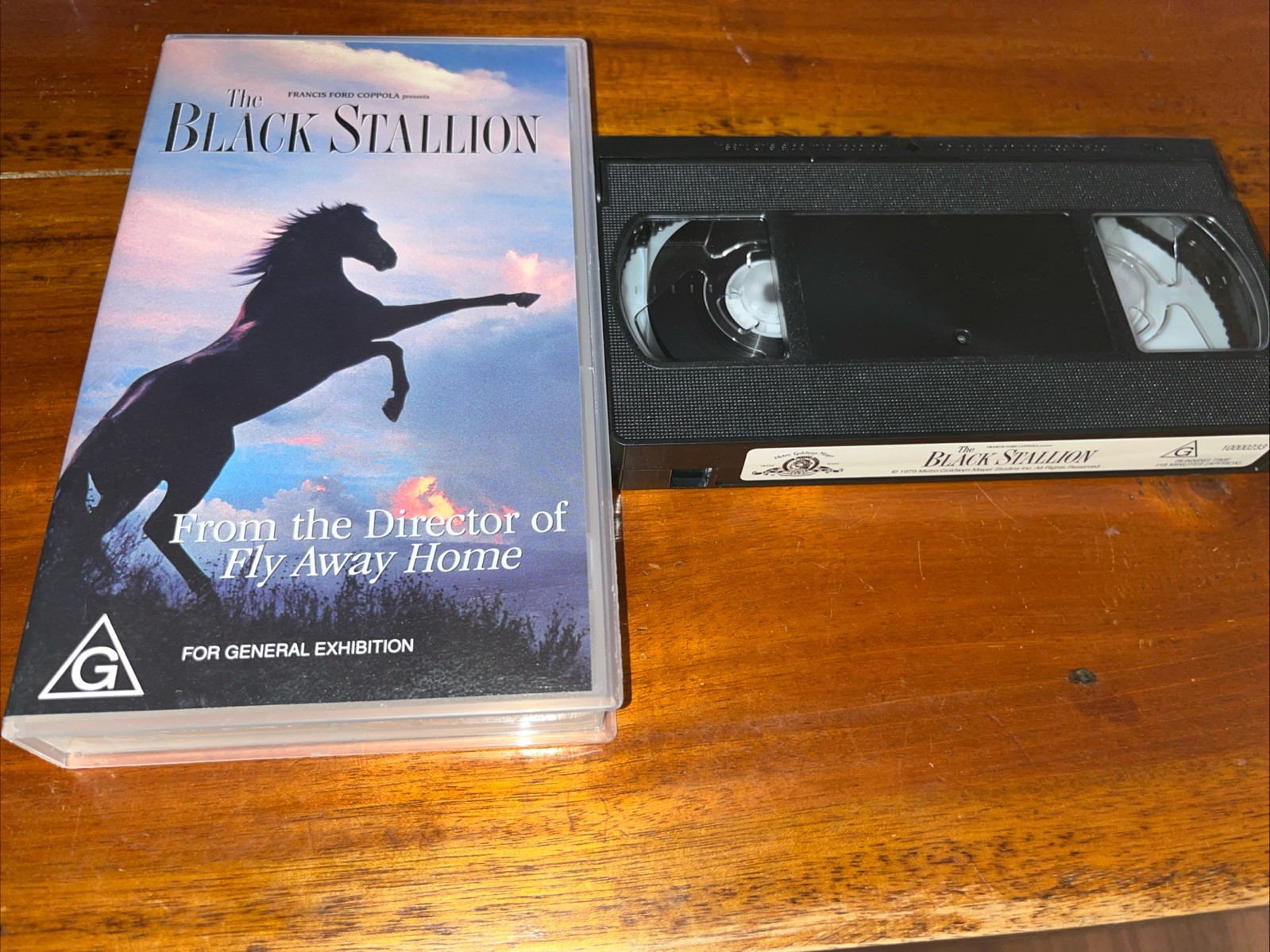 THE BLACK STALLION - KELLY RENO , TERI GARR - VHS VIDEO | eBay