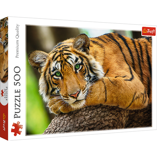 Jigsaw Puzzle 500 Piece Orange Bengal Indian Tiger Portrait Wild ...