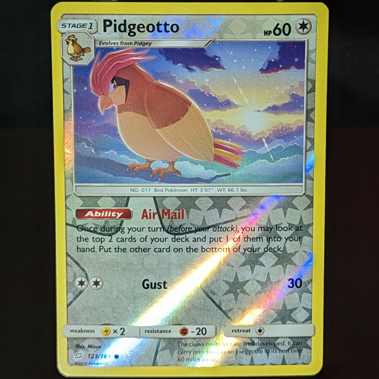 Pidgeotto 123/181 LP/NM Reverse Holo Team Up Foil SM Pokemon TCG Set ...
