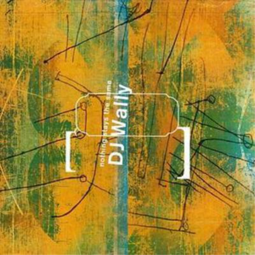 DJ Wally Nothing Stays the Same (CD) Album 700435714021 | eBay