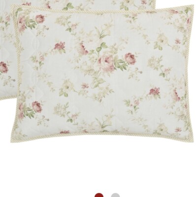 Piper & Wright Amalia Rose Standard Sham (One sham) | eBay