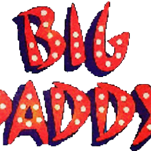 Big Daddy Enterprises Pinball | eBay Stores