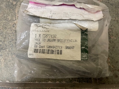 Jaguar OEM Front Lower Control Arm Mounting Bolt C2P7437 BOX B | eBay