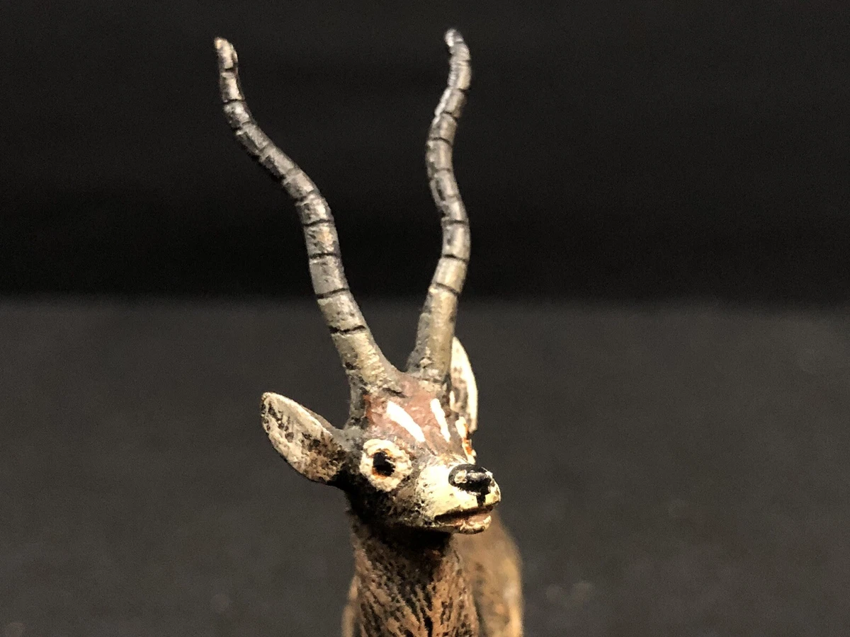 Blackbuck Antelope Baby