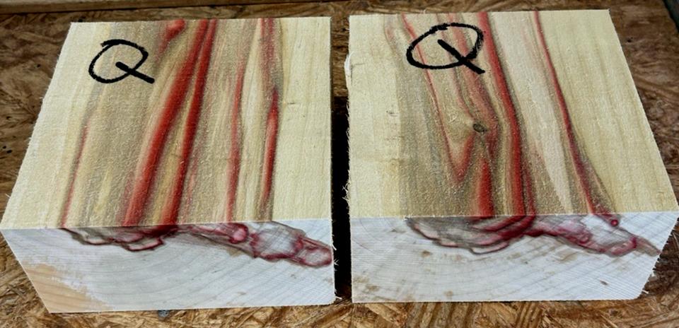 TWO BOXELDER BOWL BLANKS LATHE TURNING BLOCKS WOOD LUMBER CARVE 6" X 6 ...