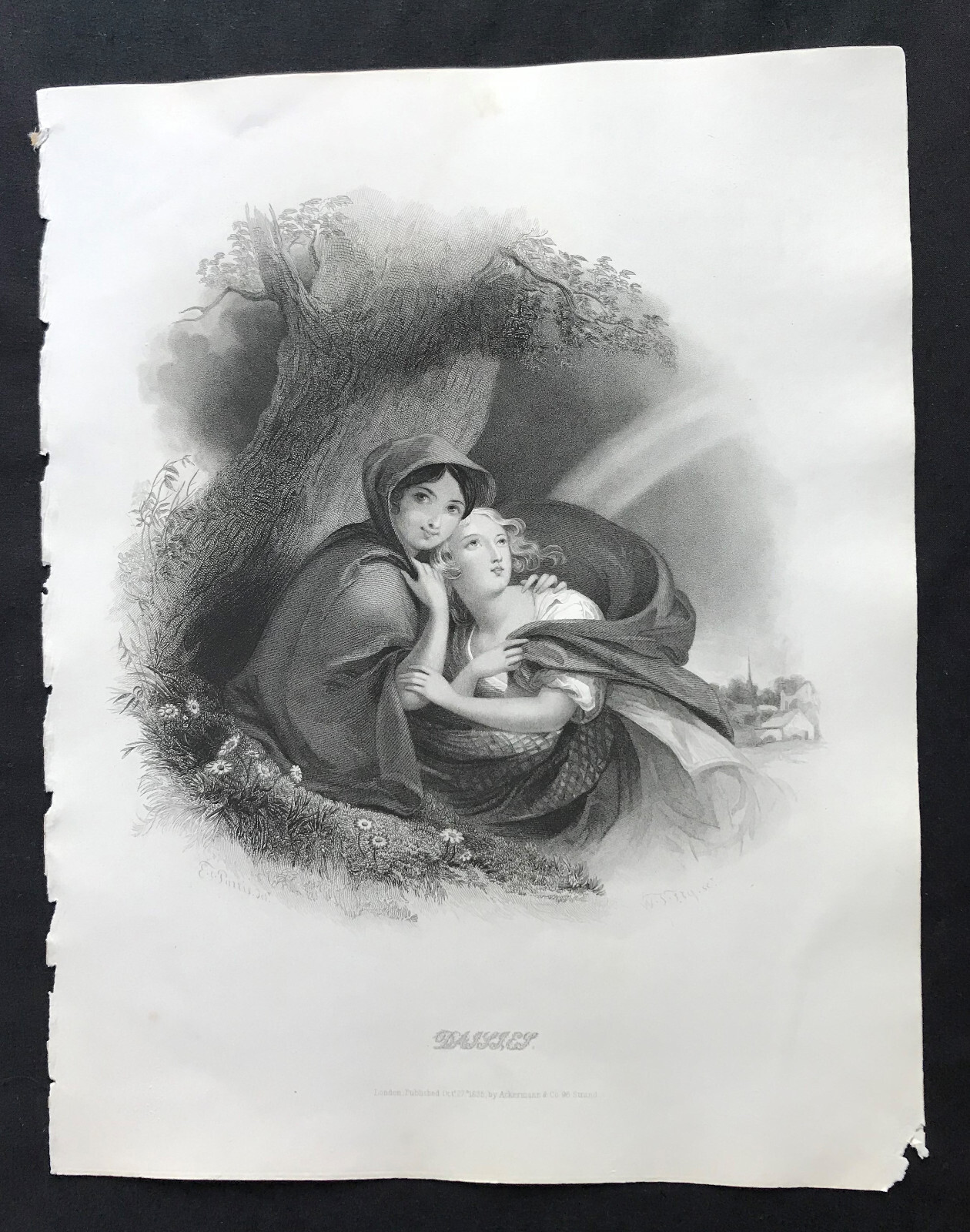 steel engraving E. T. Parris Flowers of Loveliness Women Daisies ...