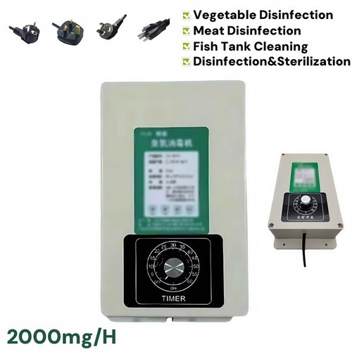2000MG/H Sterilizer Ozone Fish Tank Generator Disinfection Fruit ...