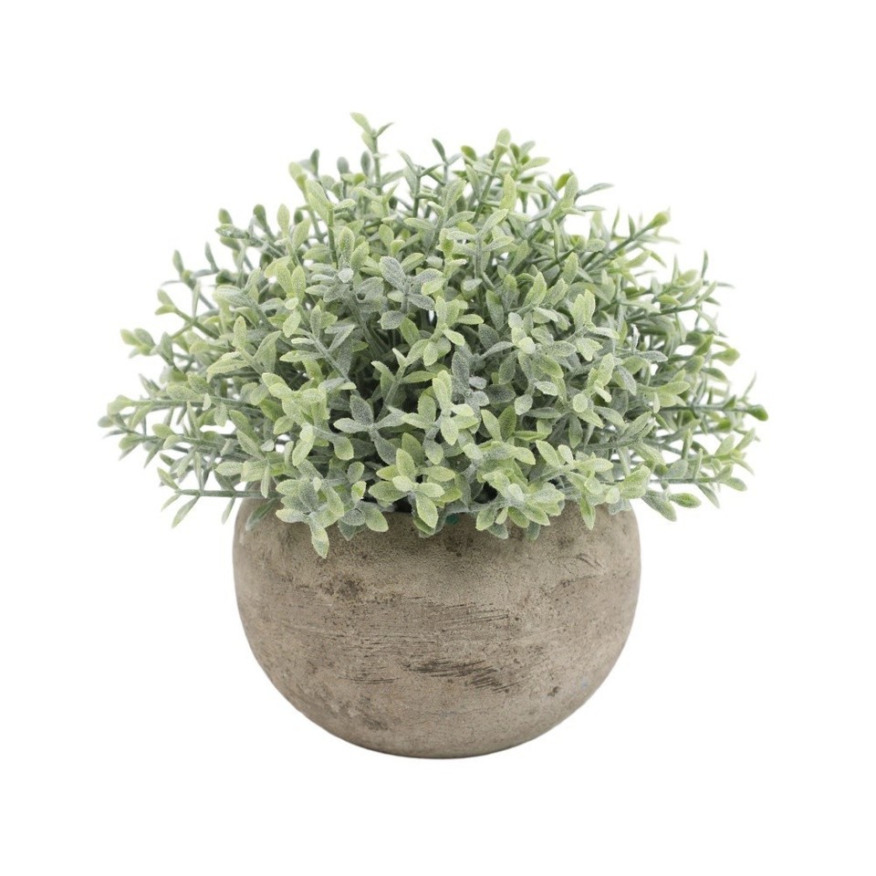 Biodegradable Pot Indoor Potted Decor Biodegradable Pulp No Watering ...