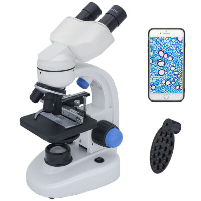 Microscopes - Microscope Body