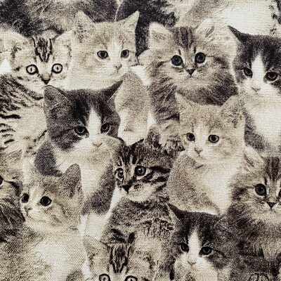 Canvas Pets Monochrome Cats Print 100% Craft Cotton Fabric for Quilting ...