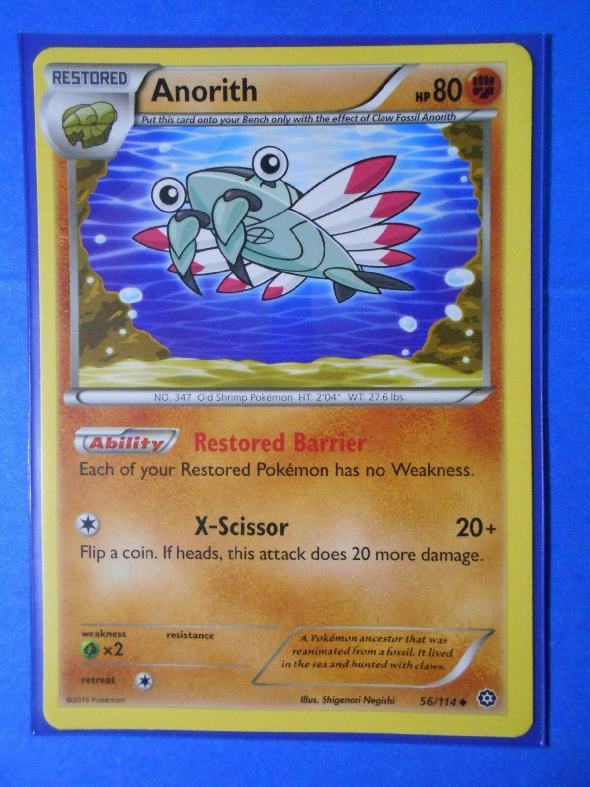 3x Claw Fossil Anorith 100/114 (2 reverse holo) & 3x Anorith 56/114 NM ...