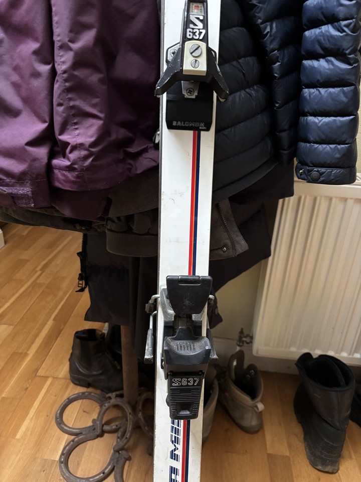 Vintage Dynastar Omega 195 skis | eBay UK