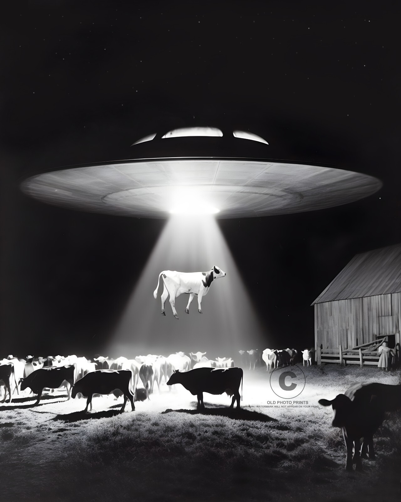 Nebraska Cow Incident UFO 1974 Photo Flying Saucer Aliens Involvement ...