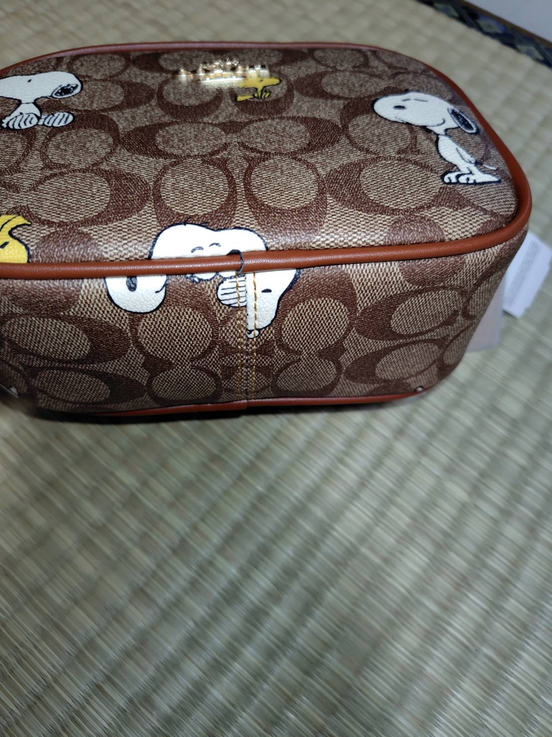 COACH x Peanuts Snoopy Mini Jamie 2-way Camera Bag Signature Canvas ...