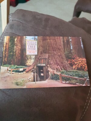 Vintage Postcard-World Famous Tree House, Redwood Highway, California ...