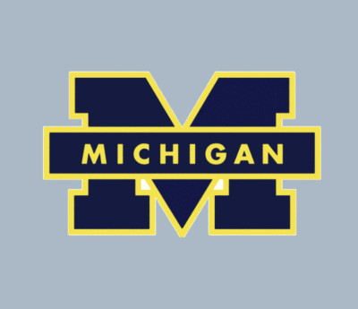 Car Magnet - University of Michigan NCAA Football - MAGNET | eBay