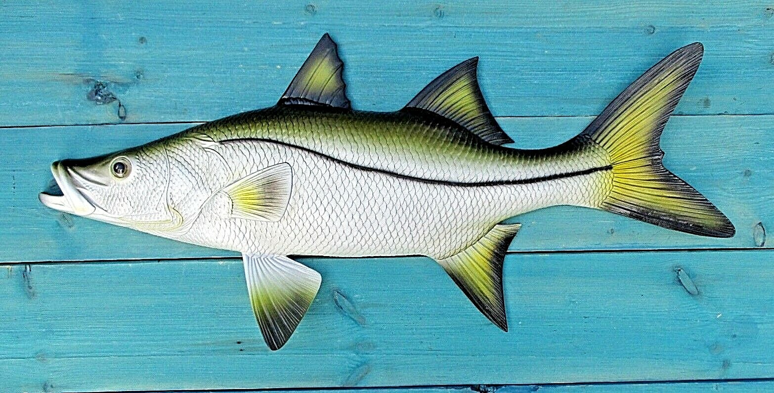 Snook Robalo Hand Painted 28" Replica Wall Mount Sculpture Fishing ...