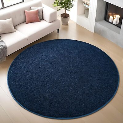 Nuttumico Ultra Soft Round Area Rugs for Living Room Bedroom, 4x4 Feet ...