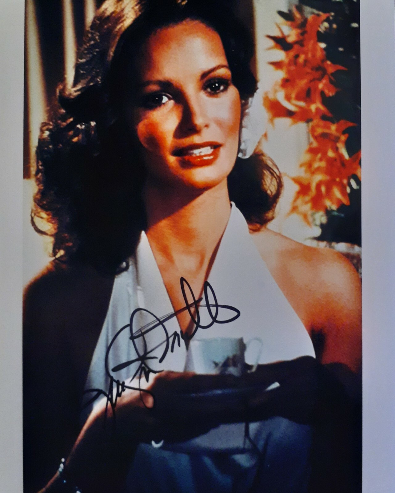 Jaclyn Smith Charlie's Angels signed 8x10 | eBay