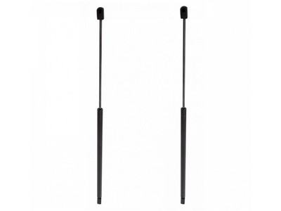 Back Glass Lift Support Kit 74WPNQ98 for Oldsmobile Bravada 2002 2003 ...