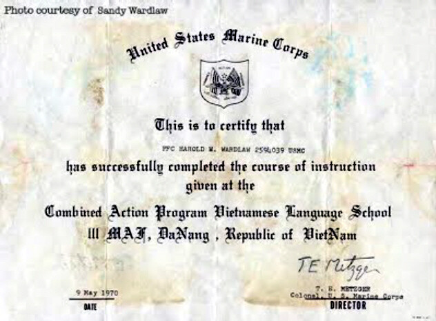 COMBINED ACTION PROGRAM VIETNAM PF TAOR HAT PIN US NAVY MARINES CAP ...