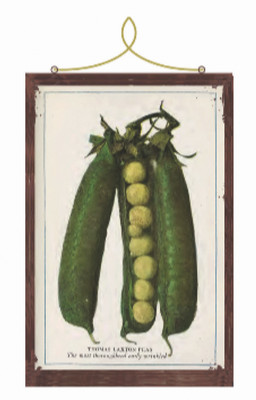 Metal Tin Sign Retro Style Vegetable Print Kitchen Wall Art, Green Peas ...