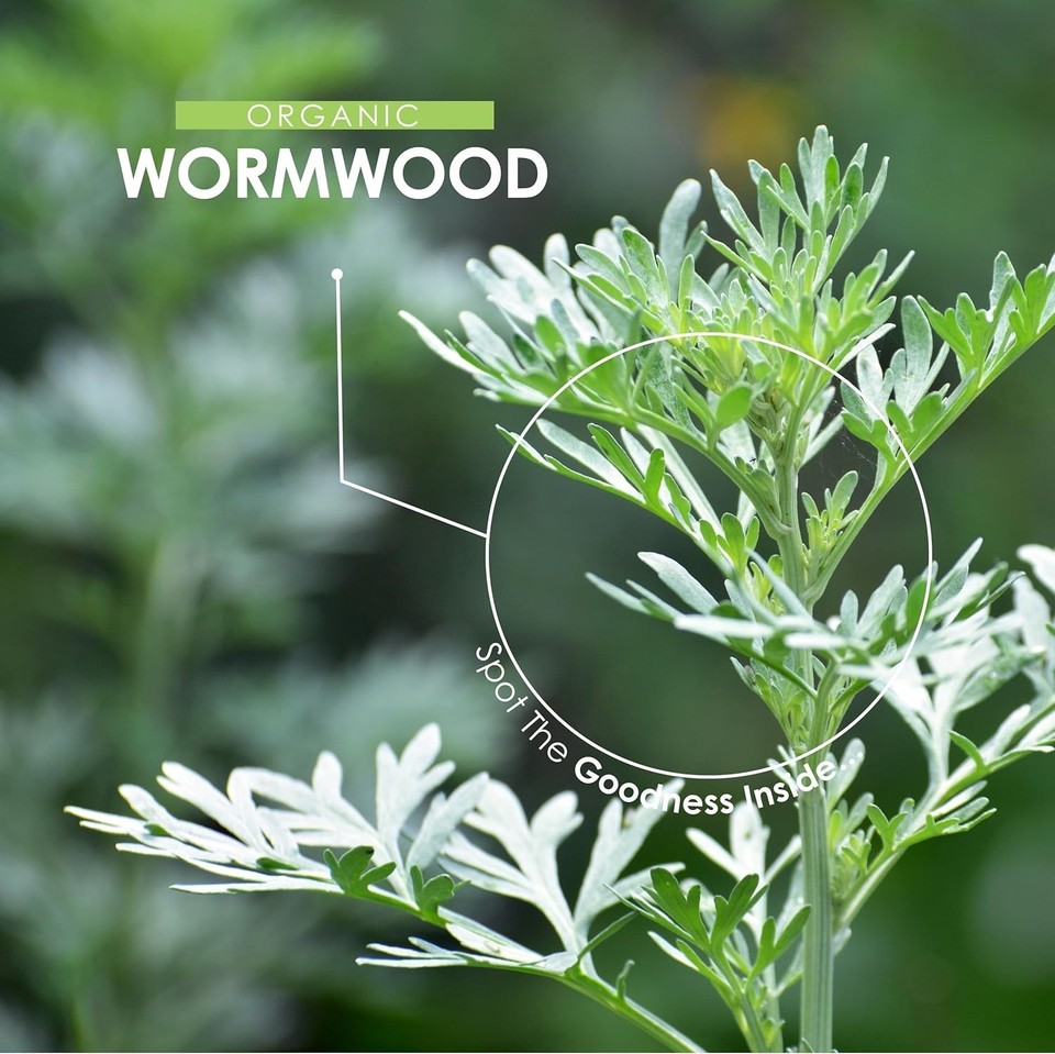 Parasite Cleanse De-Wormer Worming Pills Capsules WORMWOOD 500mg x 90 ...