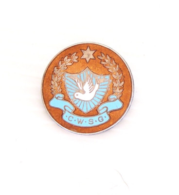 VINTAGE CATHOLIC WOMEN'S SOCIAL GUILD CWSG VIC MEMBER LAPEL HAT PIN ...